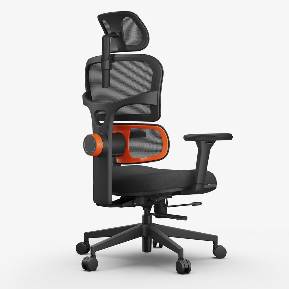 Ergonomic Office Chairs, Built for Long Hours - Newtral Official